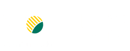 Sol-Up | Solar, Doors & Windows | Rich Crithfield