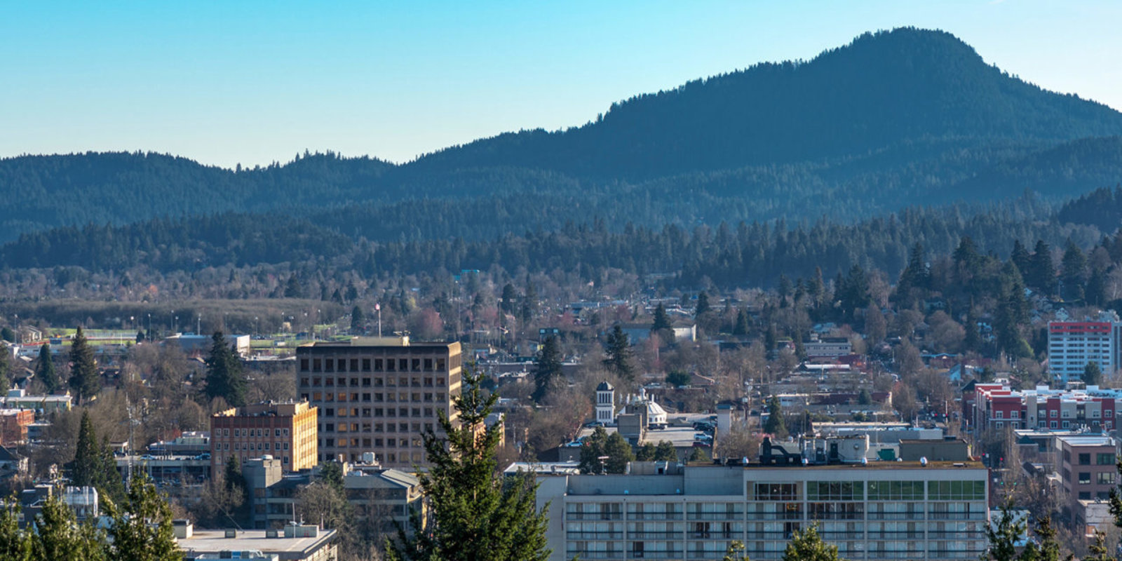 Welcome to our website | Eugene Track Town Realtors LLC