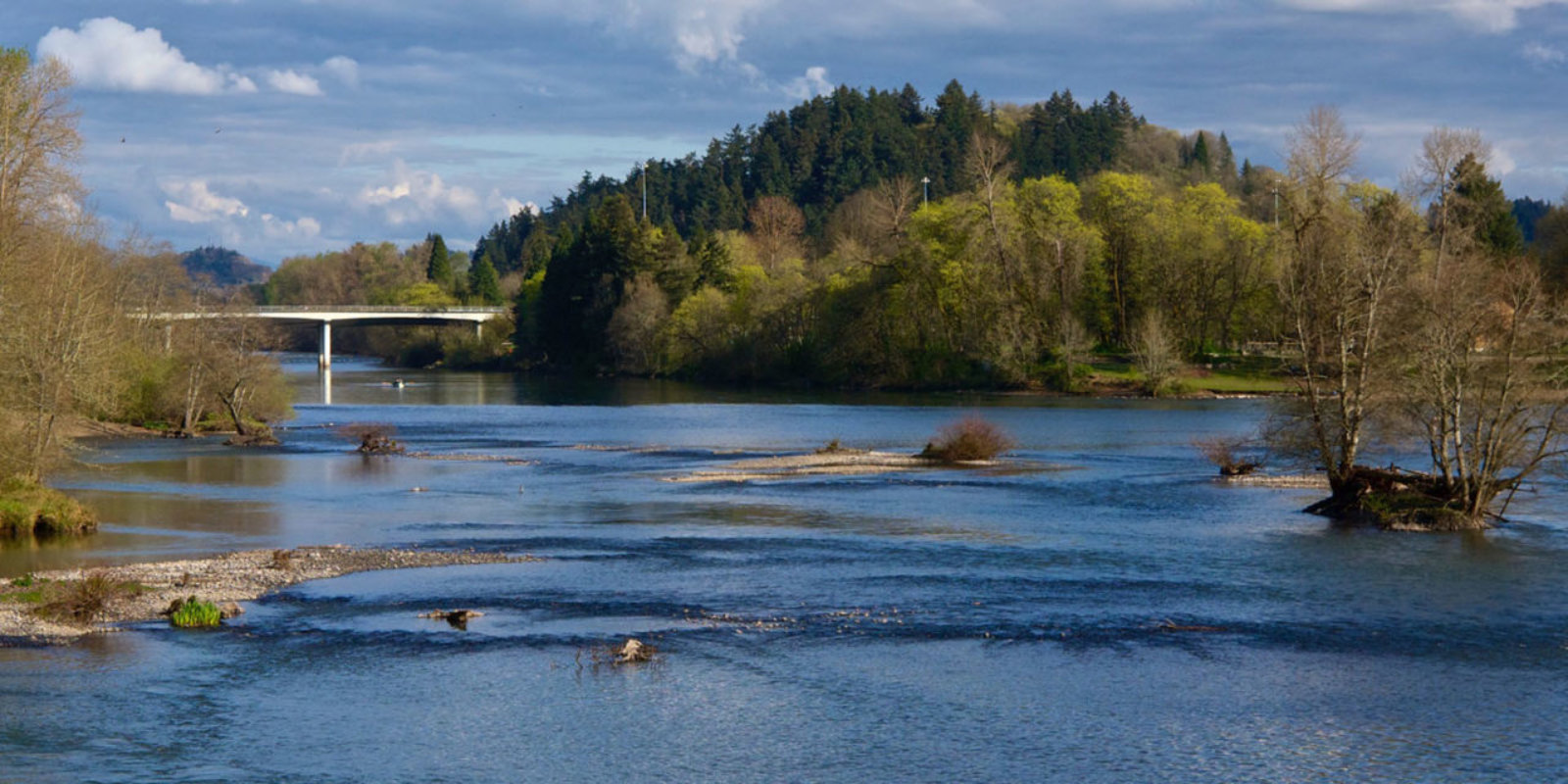 Welcome to our website | Eugene Track Town Realtors LLC